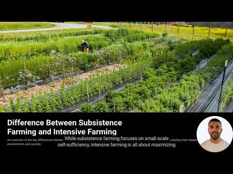 What Is The Difference Between Subsistence Farming and Intensive Farming?