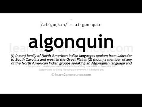 Pronunciation of Algonquin | Definition of Algonquin