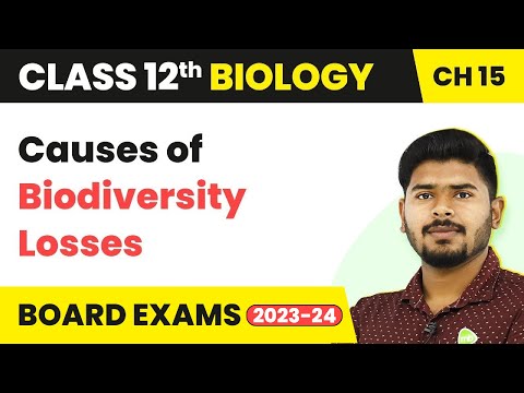 Causes of Biodiversity Losses - Biodiversity and Conservation | Class 12 Biology (2022-23)