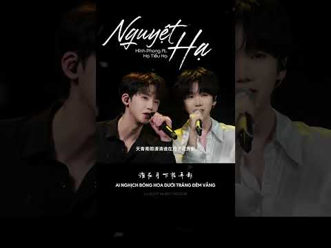 Hot Douyin: Bộ Đôi Hồng Hài Nhi Cover " Nguyệt Hạ " Gây Sốt Douyin #shorts #douyin #music #cover #月下