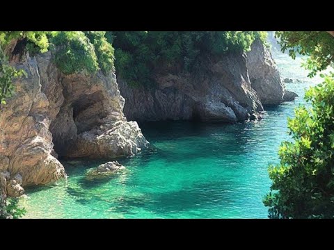 Nature/landscapes