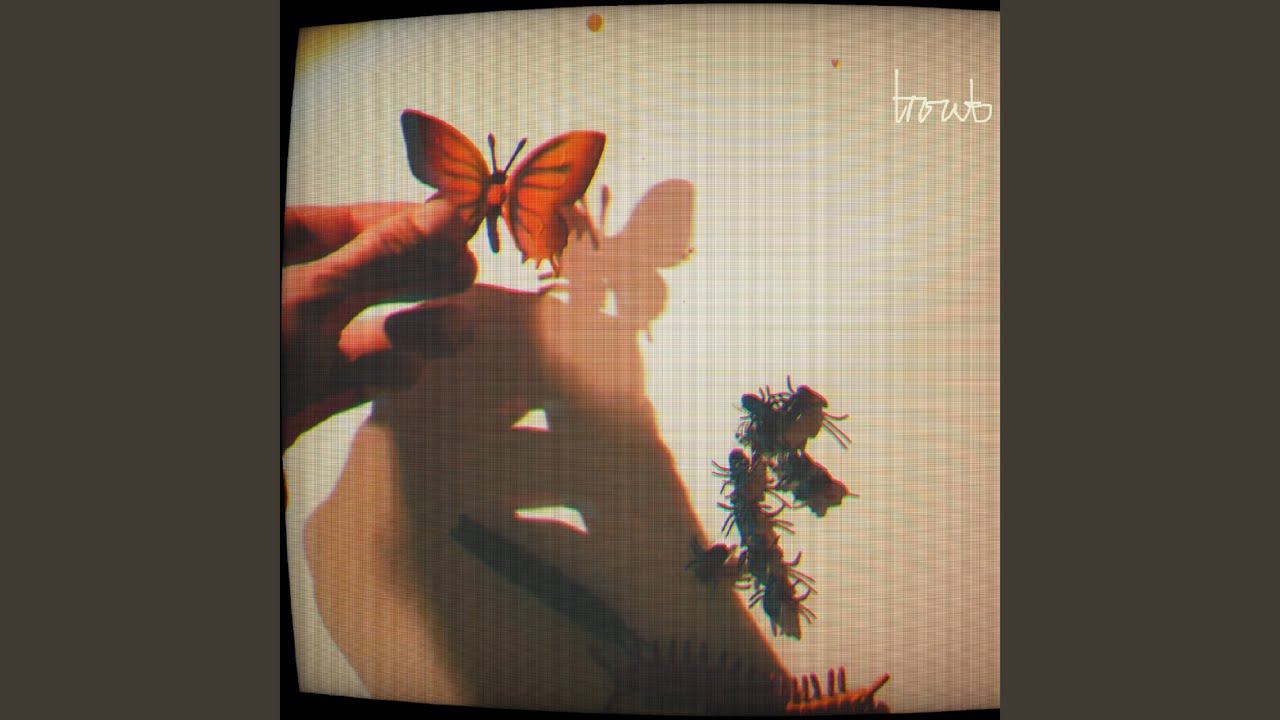 bugs