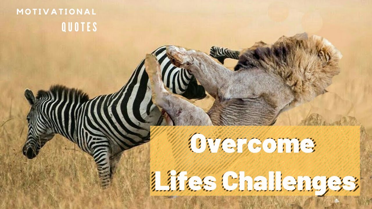 Best Motivational Quotes to Overcome Lifes Challenges