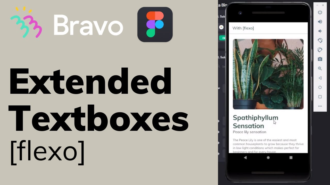 Bravo Tutorial: Flexo Tag (expand textbox)