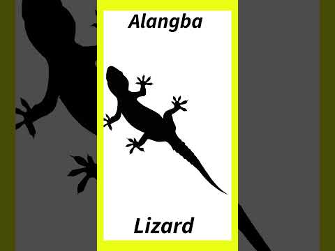 Yoruba word for lizard #learnyoruba