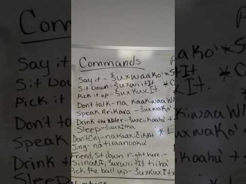 Arikara word list 8 commands