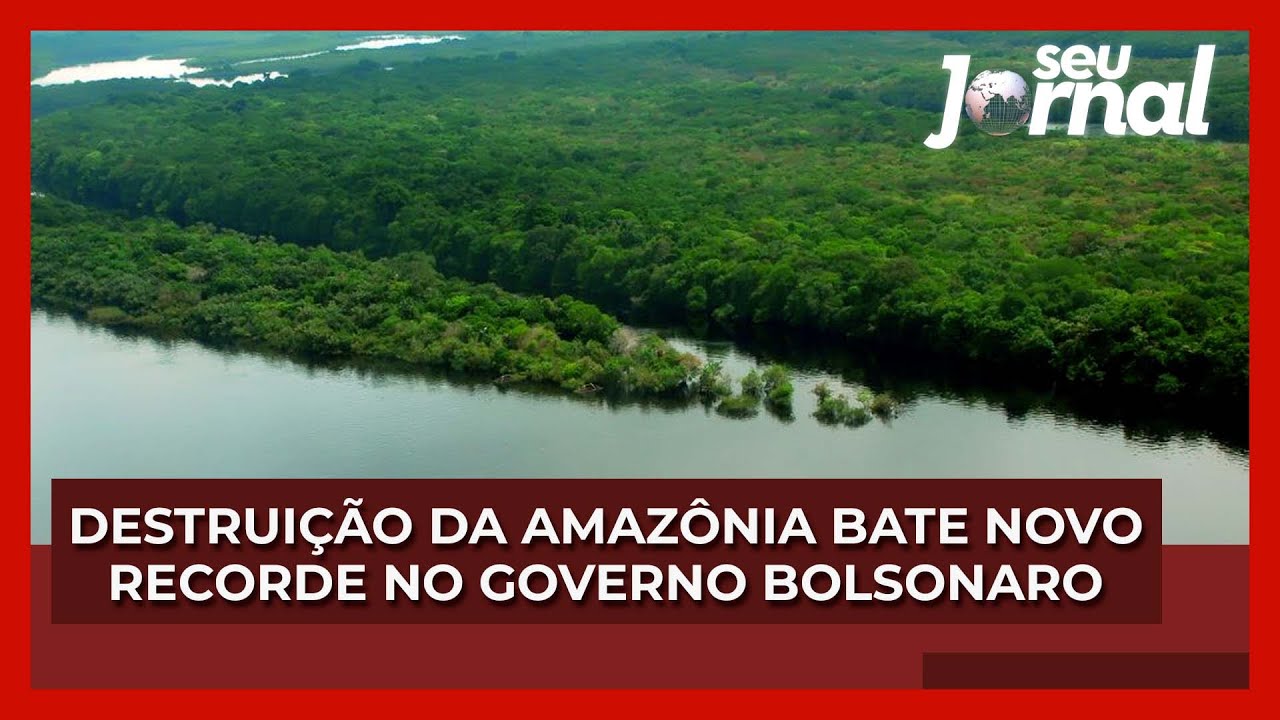 Destruição da Amazônia bate novo recorde no governo Bolsonaro