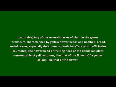 what is the meaning of dandelion