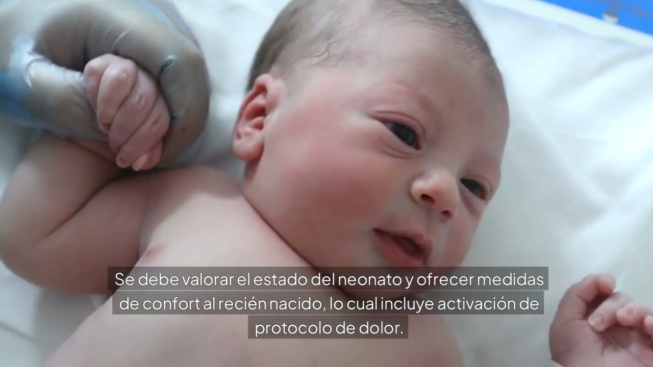 Cateterismo Venoso Umbilical: El procedimiento