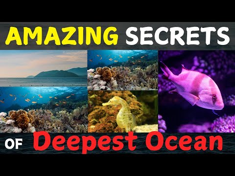 Secrets of the Deepest Ocean Trenches |"Exploring the Secrets of the Deepest Ocean Trenches #facts