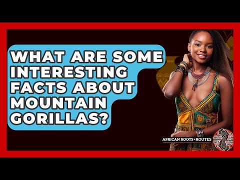 What Are Some Interesting Facts About Mountain Gorillas? - African Roots And Routes