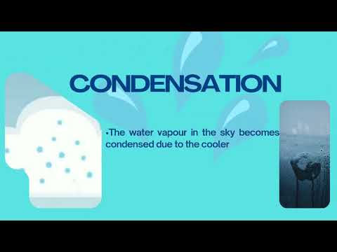 The water Cycle