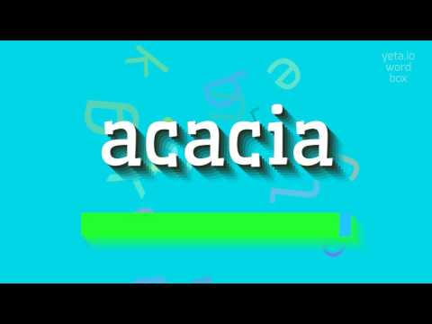 ACACIA - How to pronounce it?