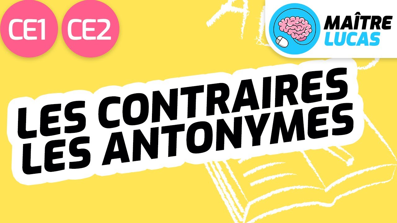 Les contraires - antonymes CE1 - CE2 - Cycle 2 - Français - Lexique - Vocabulaire