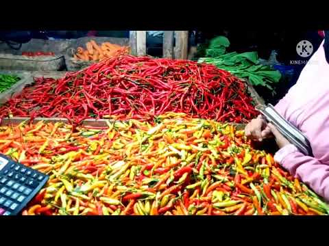 HARGA CABAI MERAH HARI INI.