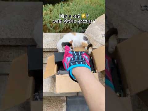 Cs2 Vice Skin Sport Gloves IRL #unboxingvideo #cs2 #csgo #csgomoments #csgoclips