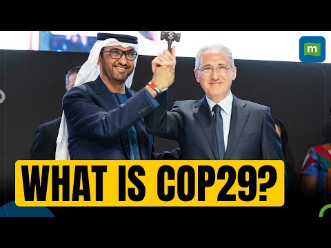 COP29 in Baku, Azerbaijan: Everything You Need To Know