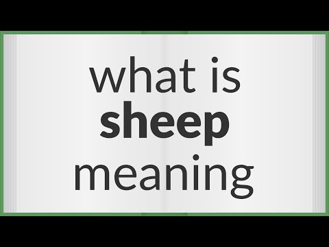 Sheep | meaning of Sheep