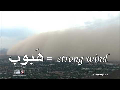 What is a Haboob?