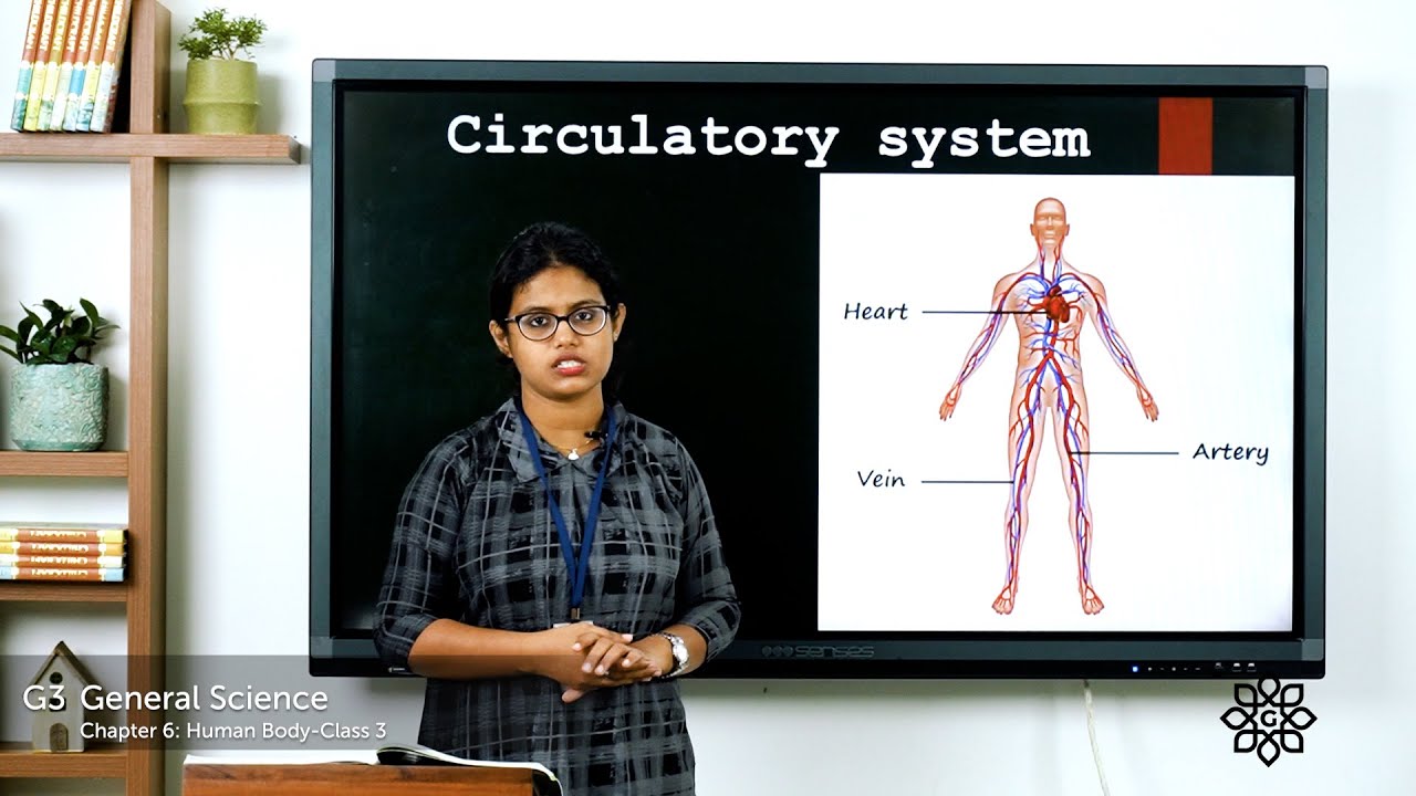 Grade 3 General Science Chapter 6 Class 3 Circulatory System & Excretory System