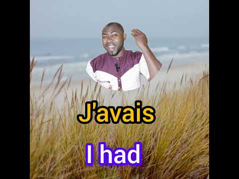 Apprendre facilement l'anglais. Maîtrisez le verbe avoir en anglais. #english #shorts #verbs