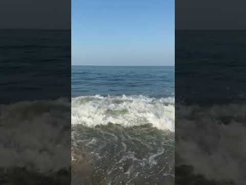 False Cape State Park, VA | The Dyrt