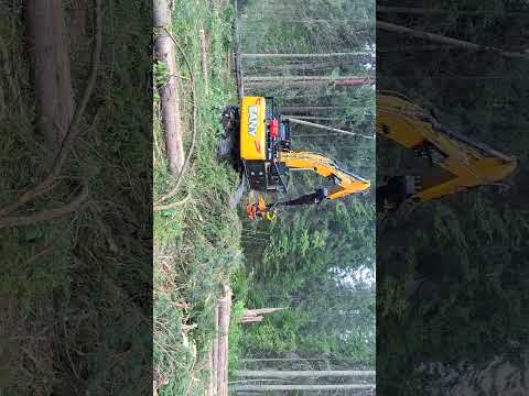 #forst logging equipment 600HP Harvester Head from XUVOL factory