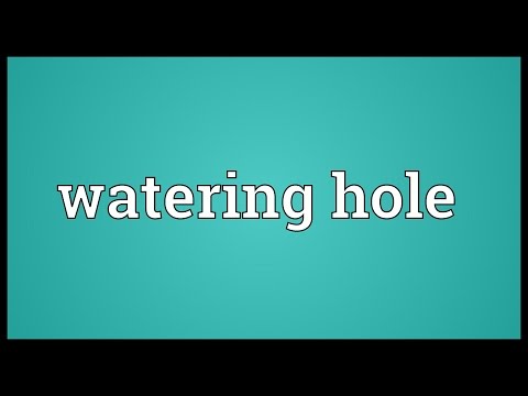 Watering hole Meaning