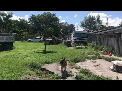 269 NW 2nd ct Deerfield Beach, FL 33441