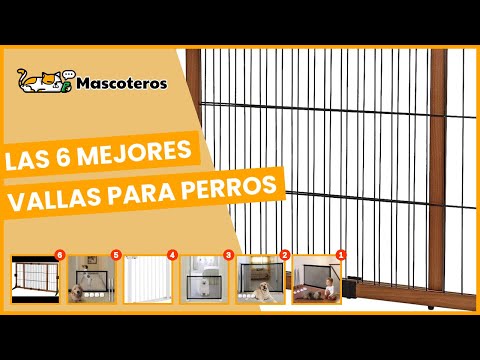 Las 6 mejores vallas para perros