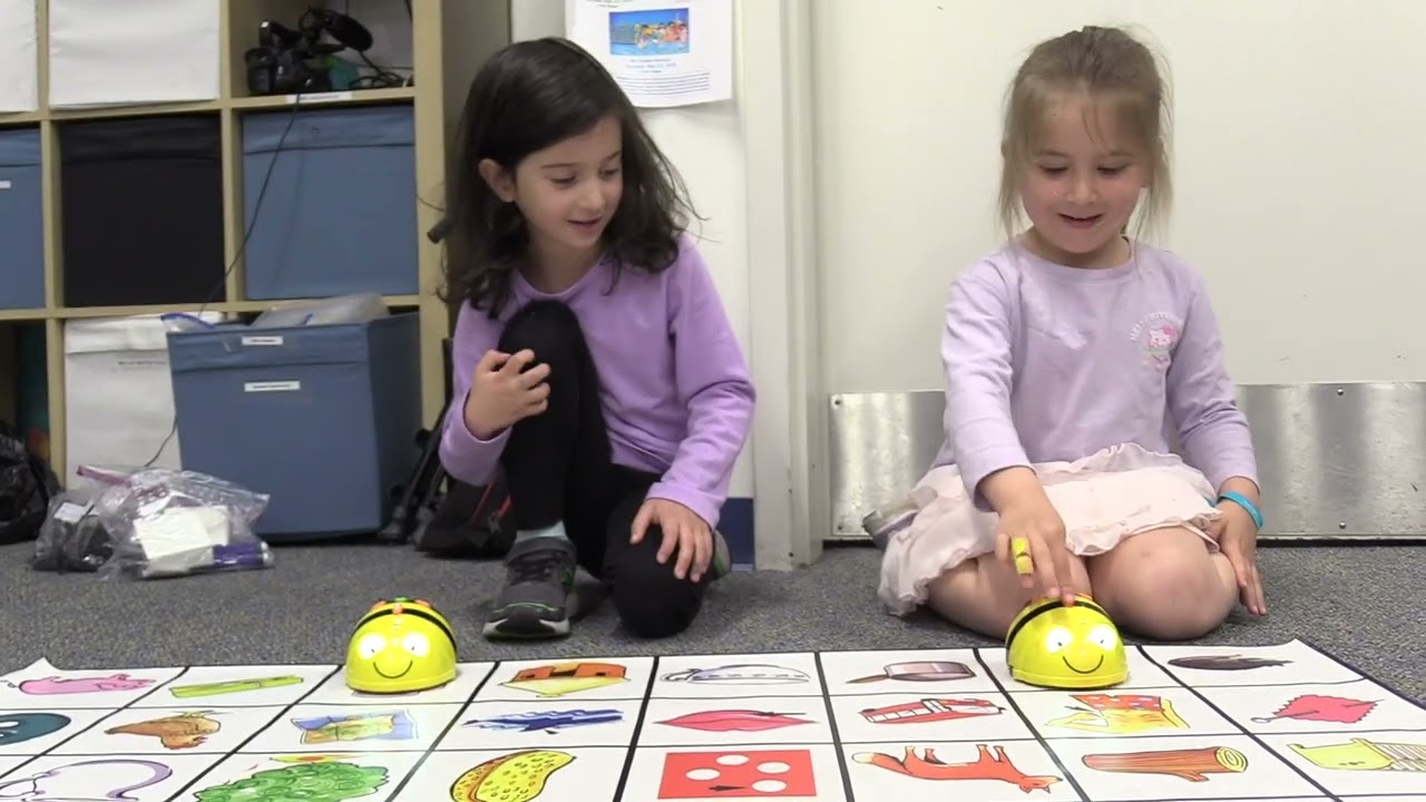 Beebots at Meadowbrook