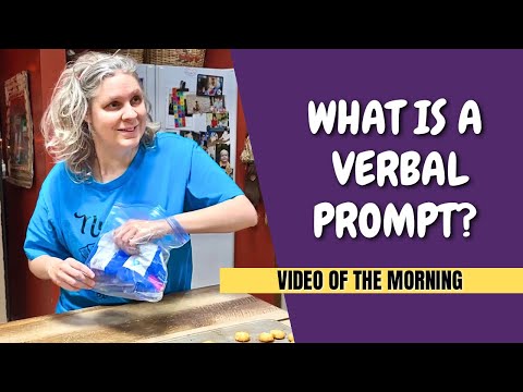 What is a Verbal Prompt?