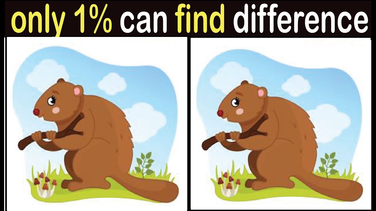 spot the difference image 9 // puzzle game // fun mind game