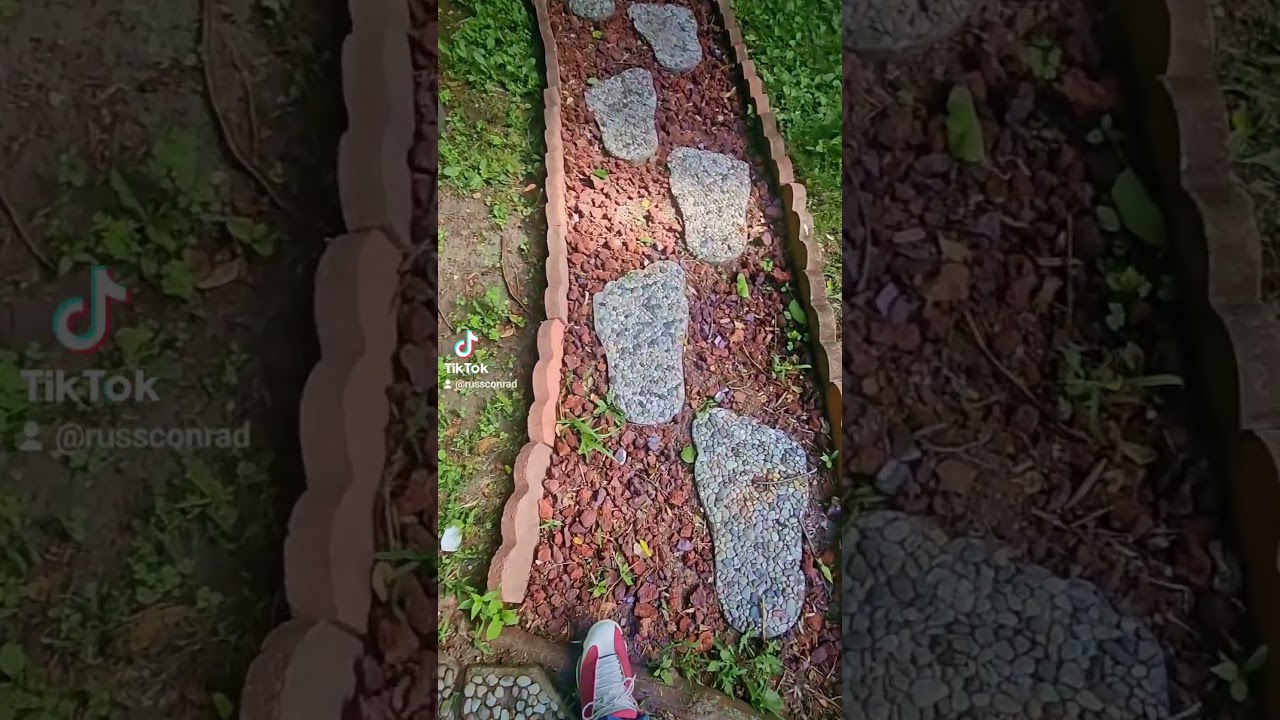 what I've done to my backyard over the past 5 years