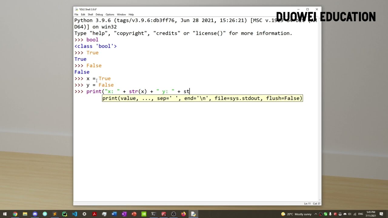 Boolean Datatype, If..Else, and Relational Expression - Learn Python #4