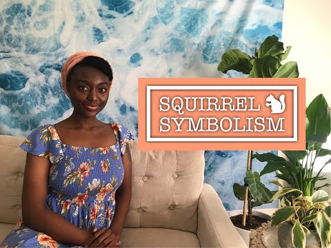 Squirrel Spirit Animal Totem | Plan for the future