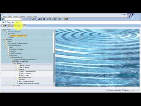5. CURSO BASICO DE SAP - Demo Navegación en SAP