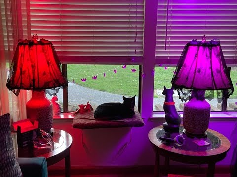 Boxlood Smart Light Bulbs, WiFi Smart Bulbs That Work with Alexa Echo Google Home Siri, No Hu Review