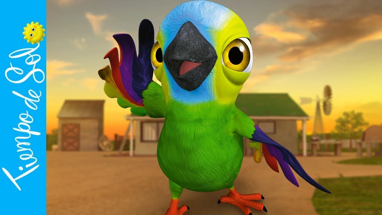 Songtext: Duo Tiempo Del Sol – El Lorito Pepe | MusikGuru