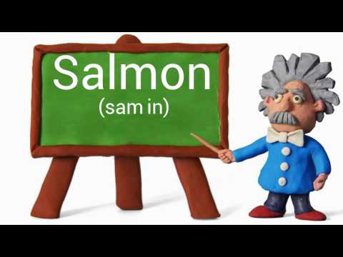 How to pronounce Salmon