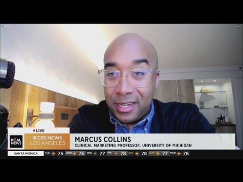 Marketing expert explains Twitter’s rebrand as ‘X’