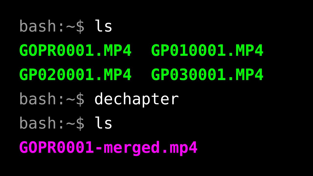 dechapter: losslessly merge chaptered camera footage (e.g. GoPro)