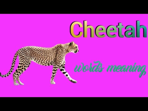 चीता को इंग्लिश में क्या कहते हैं | cheetah meaning in hindi | cheetah ko english mein kya kahate