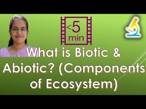 What is Biotic & Abiotic? (Components of Ecosystem)