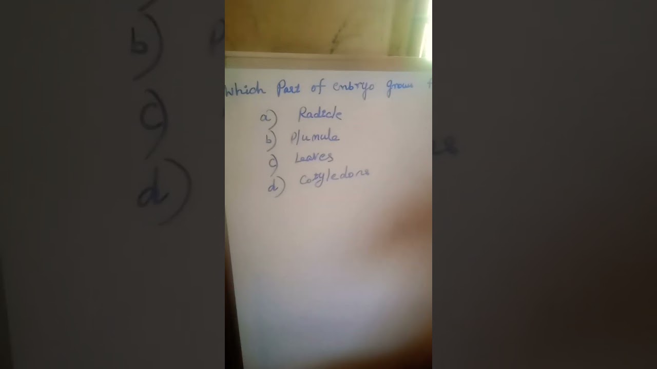 nso class 5 plants SOF question
