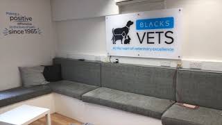 3 Best Vets in Dudley, UK - Expert Recommendations