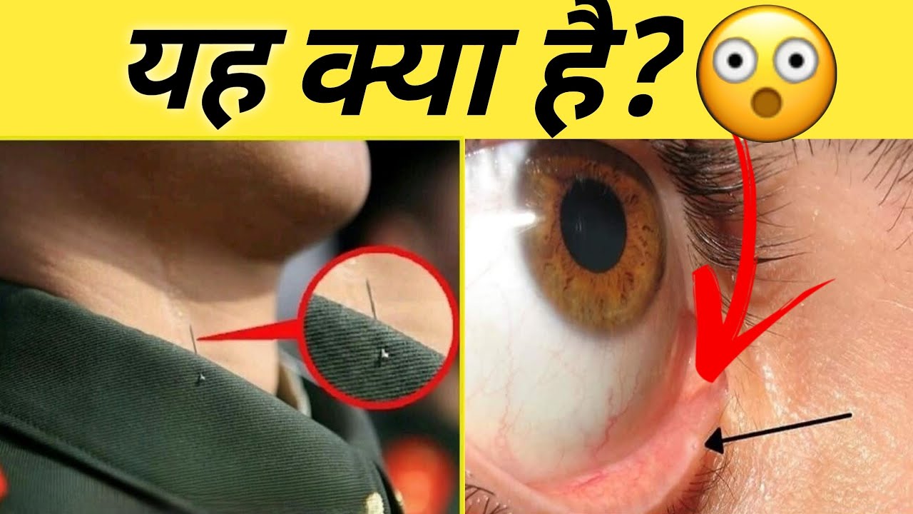 Why the pin on the collar?amazing facts by FACTS MASTER!
