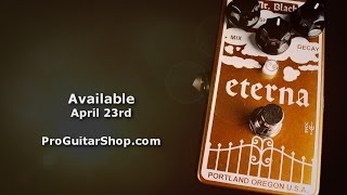 Mr. Black Eterna Gold Modified Shimmering Reverberator - What To Know ...