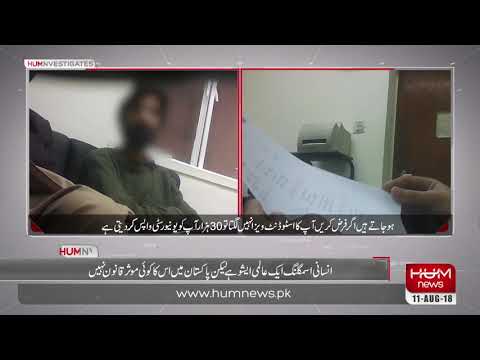 Human Smuggling: Sting operation on travel agency l Hum Investigates