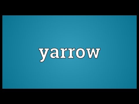 Yarrow Meaning